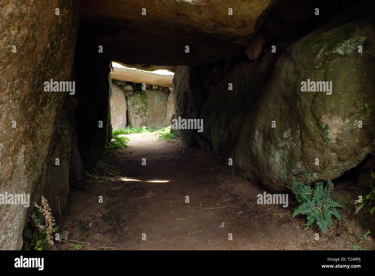 Carnac alignments hi-res stock photography and images - Alamy
