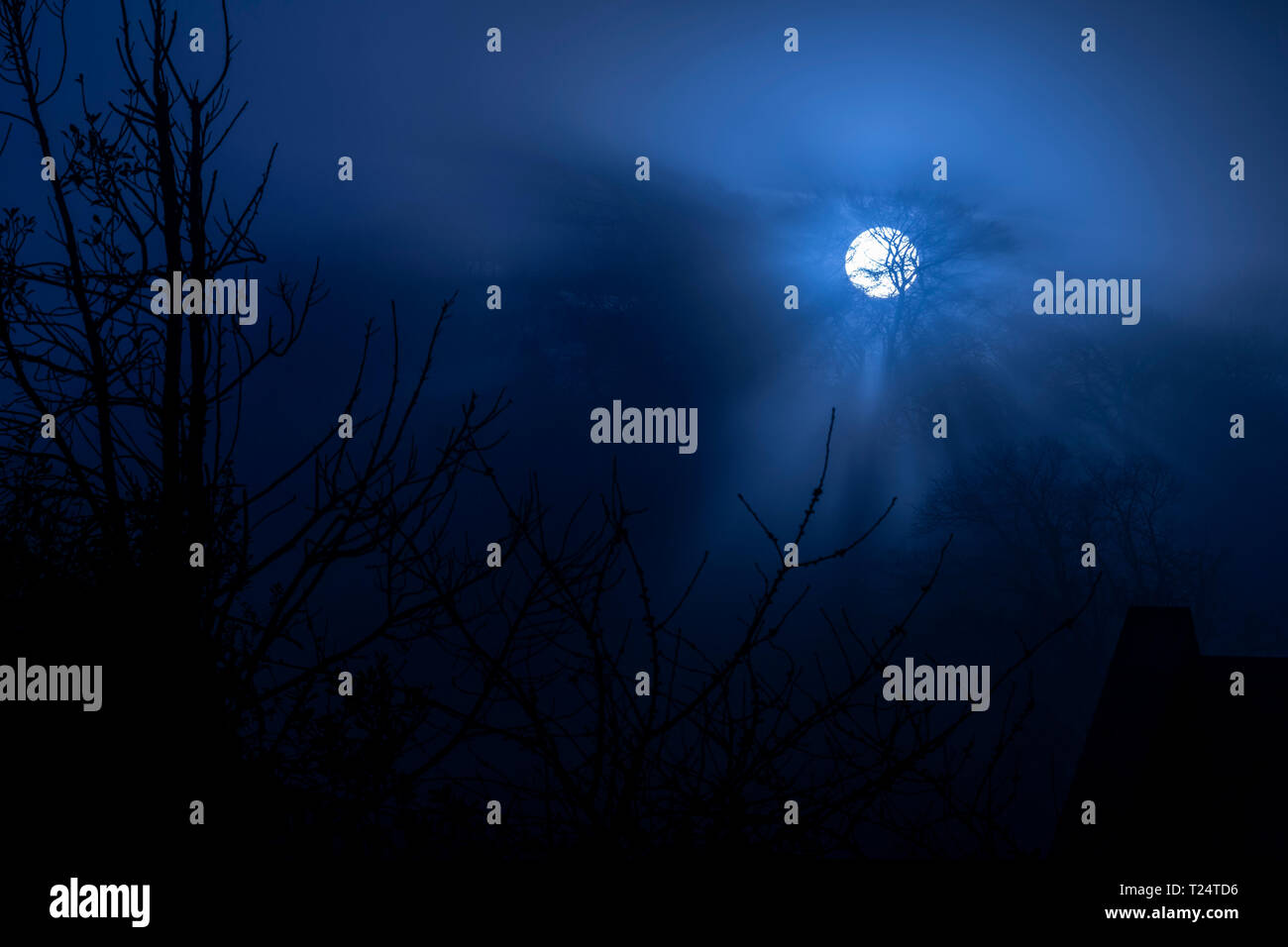 The sun has risen hi-res stock photography and images - Alamy