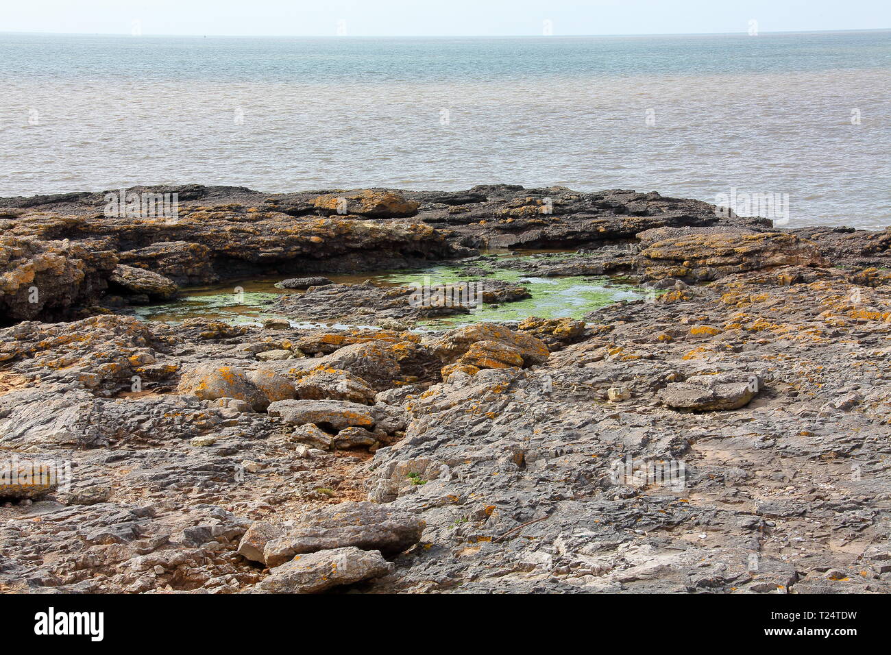 Lichen On Rock Rocks High Resolution Stock Photography and Images - Alamy