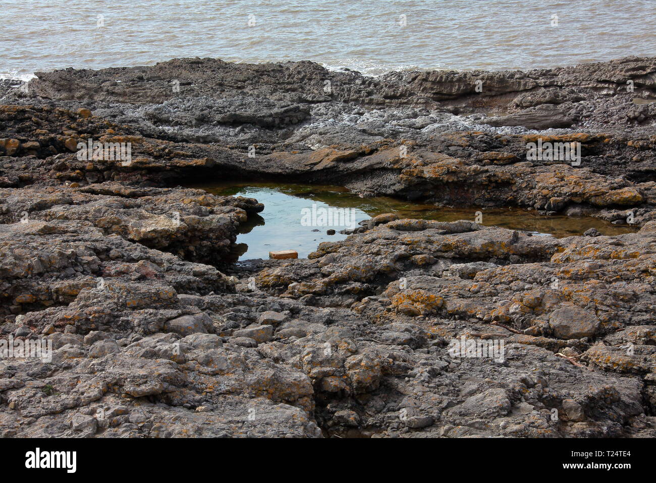 Lichen On Rock Rocks High Resolution Stock Photography and Images - Alamy