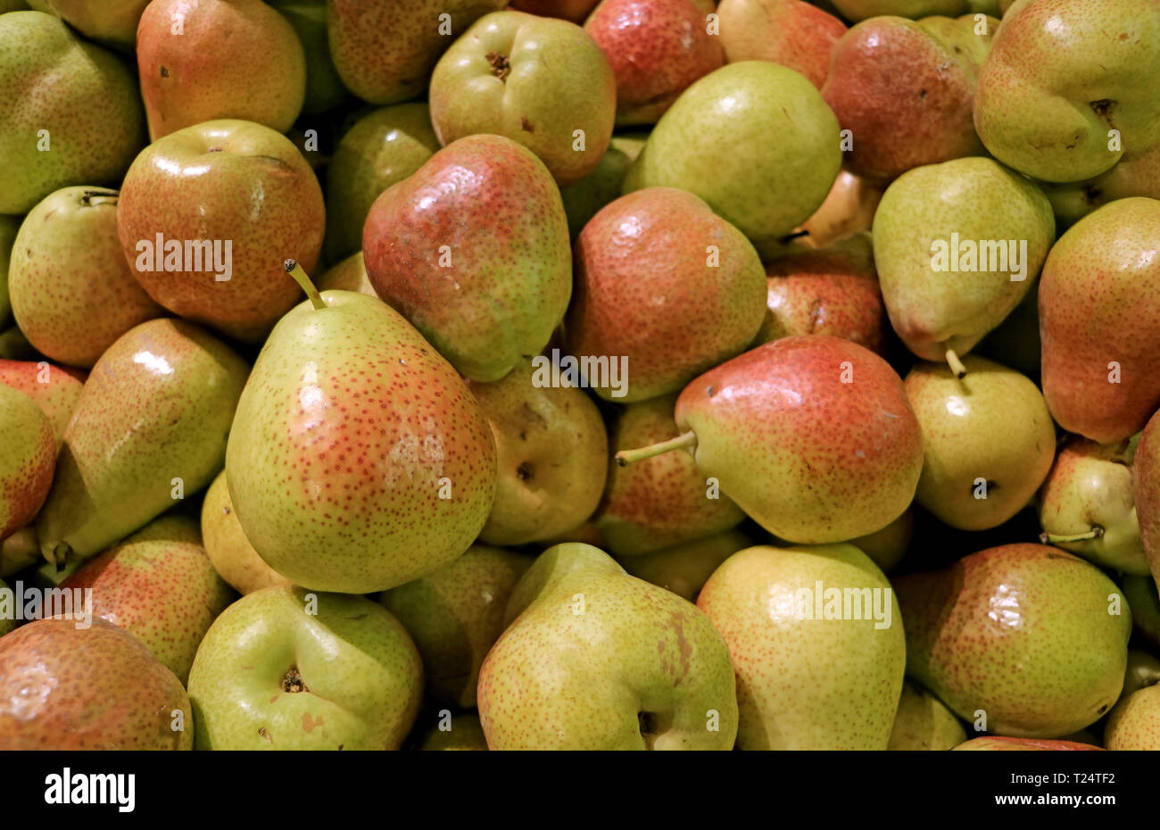 Heap of Fresh Ripe Forelle Pears in the Market of Santiago, Chile ...