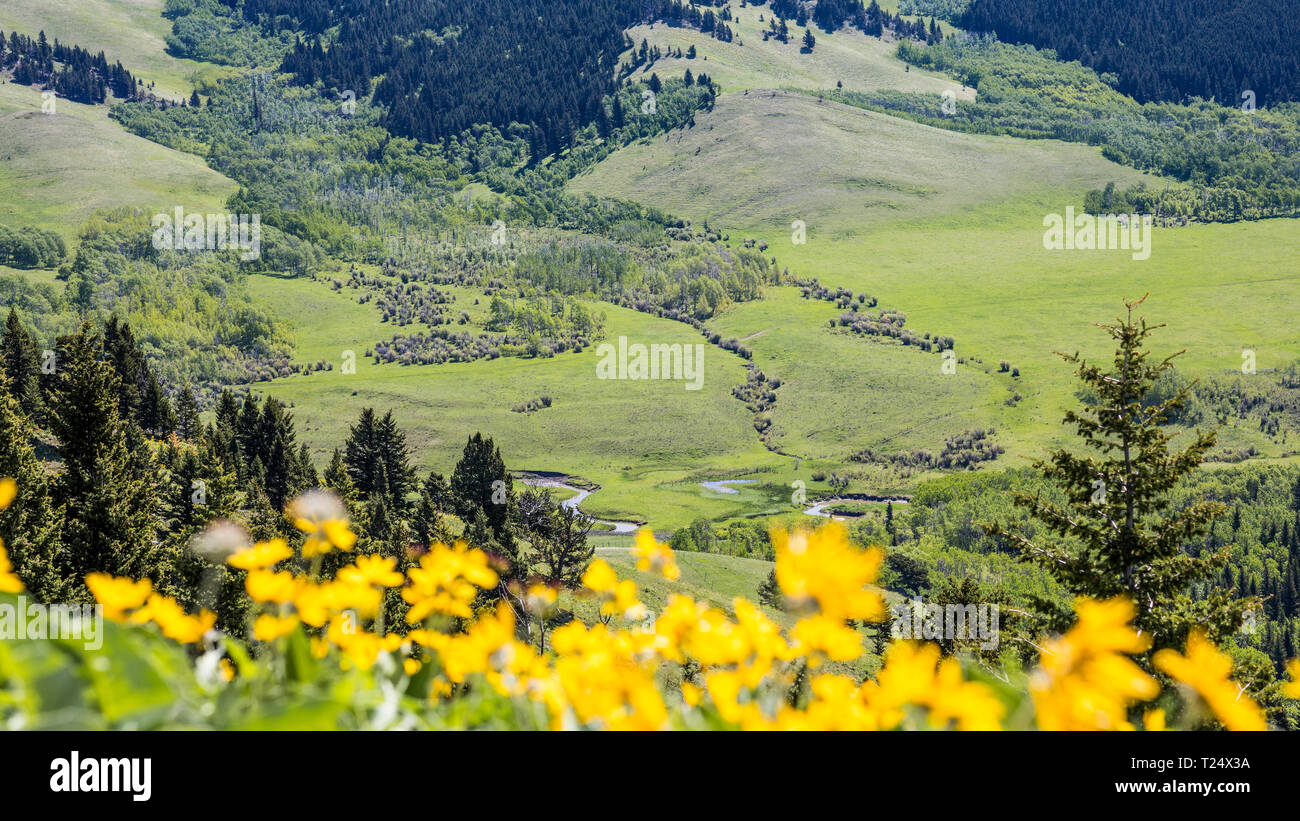 Wildland provincial park hi-res stock photography and images - Alamy