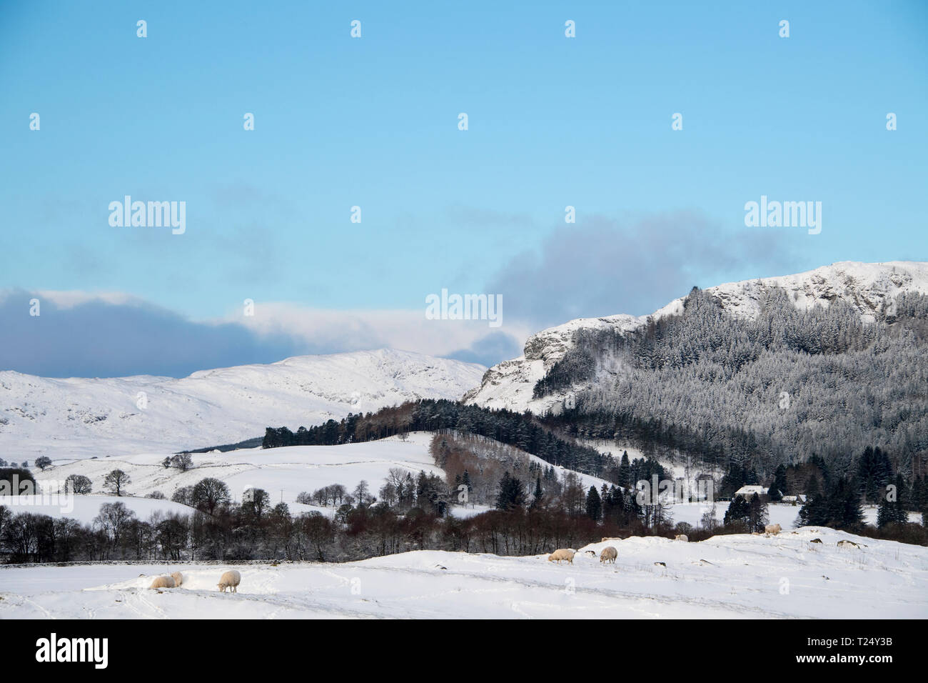 Scottish winter scene hi-res stock photography and images - Alamy
