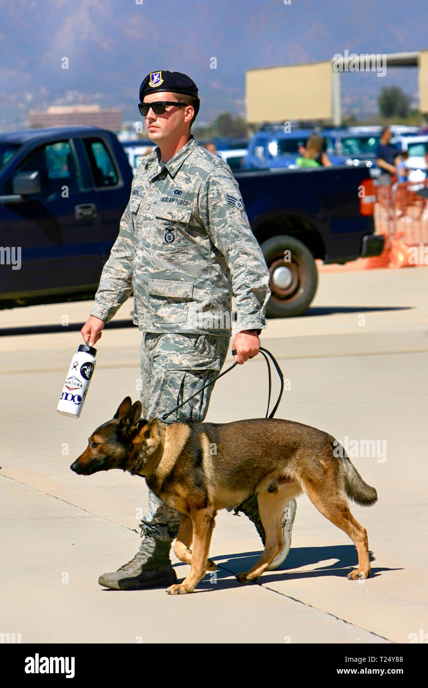 Police canine k 9 handler hi-res stock photography and images - Alamy