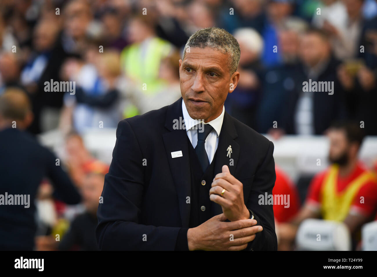 Brighton manager Chris Hughton during the Premier League match between ...
