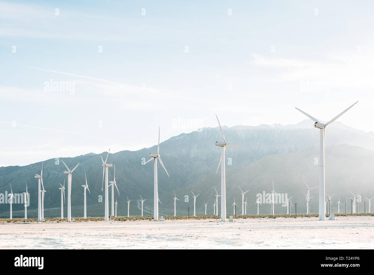 Windmills at the San Gorgonio Pass wind farm in Palm Springs ...