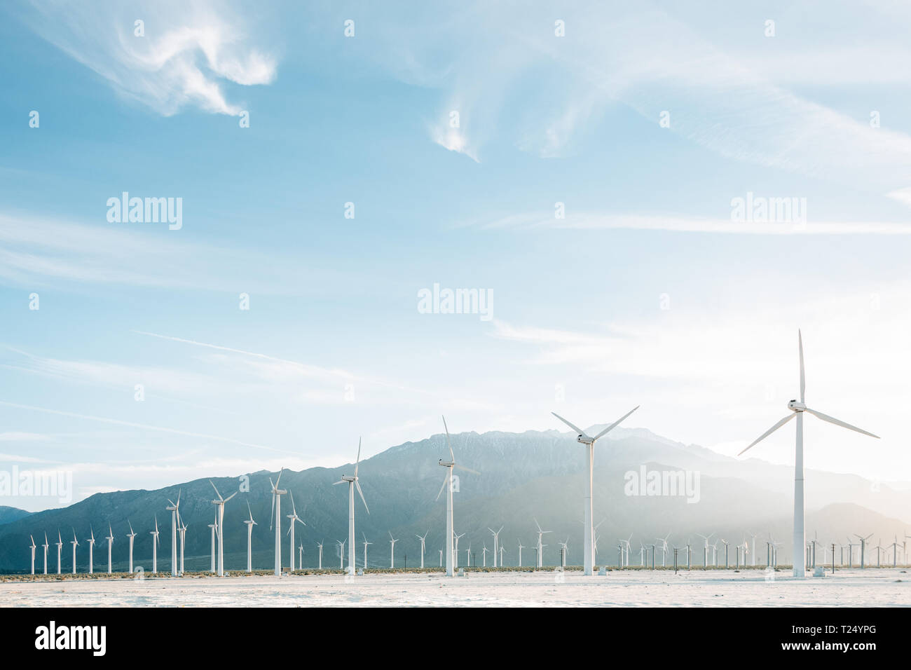 Windmills at the San Gorgonio Pass wind farm in Palm Springs ...