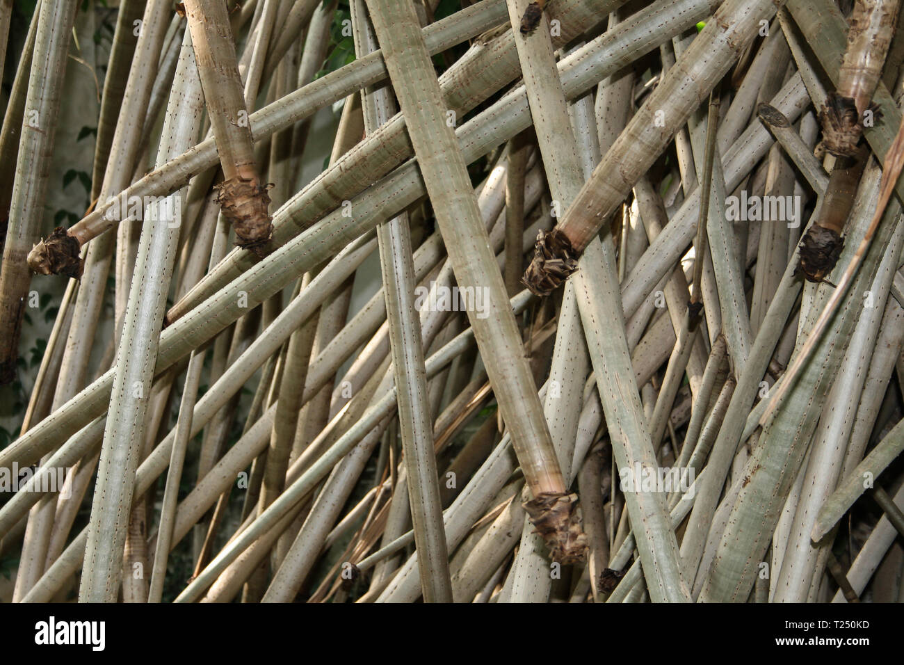 Bundle sticks hi-res stock photography and images - Alamy
