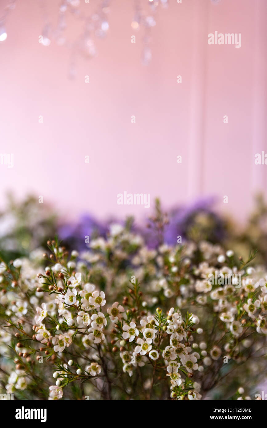 White decorative flowers hi-res stock photography and images - Alamy
