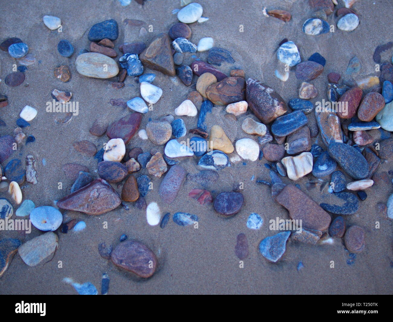 pebbles on the beach. colorful, various natural pebbles Stock Photo - Alamy