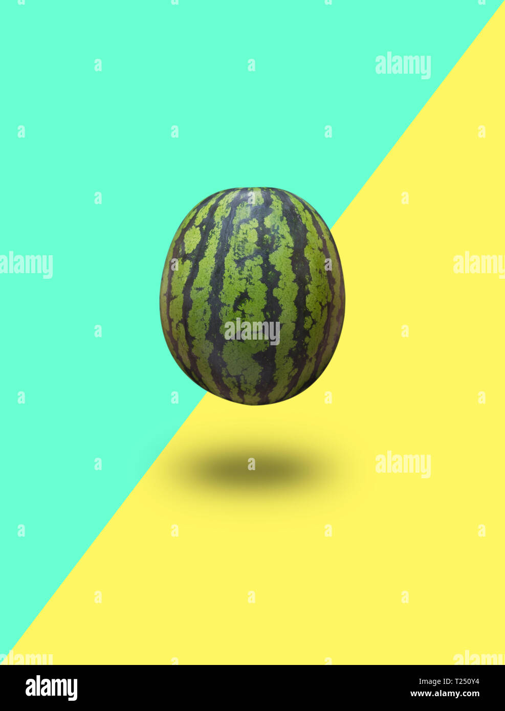 Watermelon isolated on a pastel background with a shadow. Vertical ...