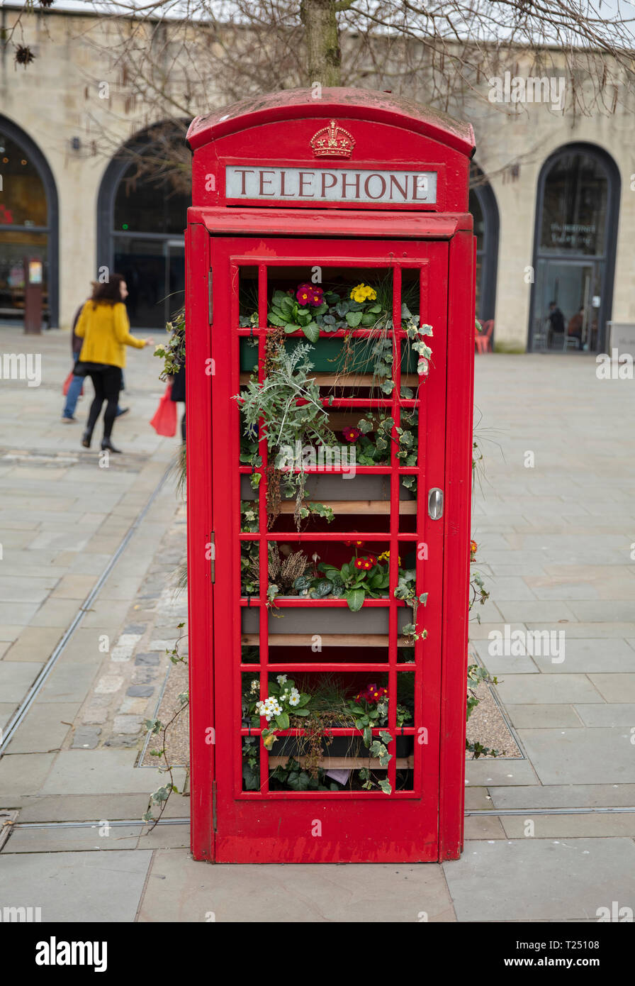 Bath, Somerset, UK, 22nd February 2019, Old repurposed red telephone ...