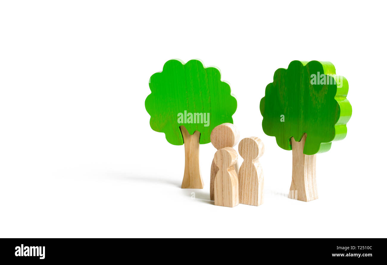 Family tree genealogy Cut Out Stock Images & Pictures - Alamy