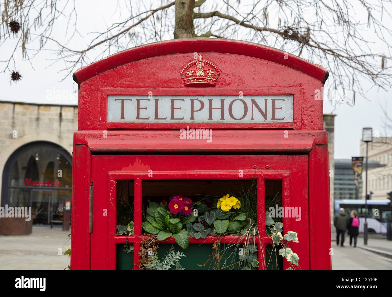 Bath, Somerset, UK, 22nd February 2019, Old repurposed red telephone ...