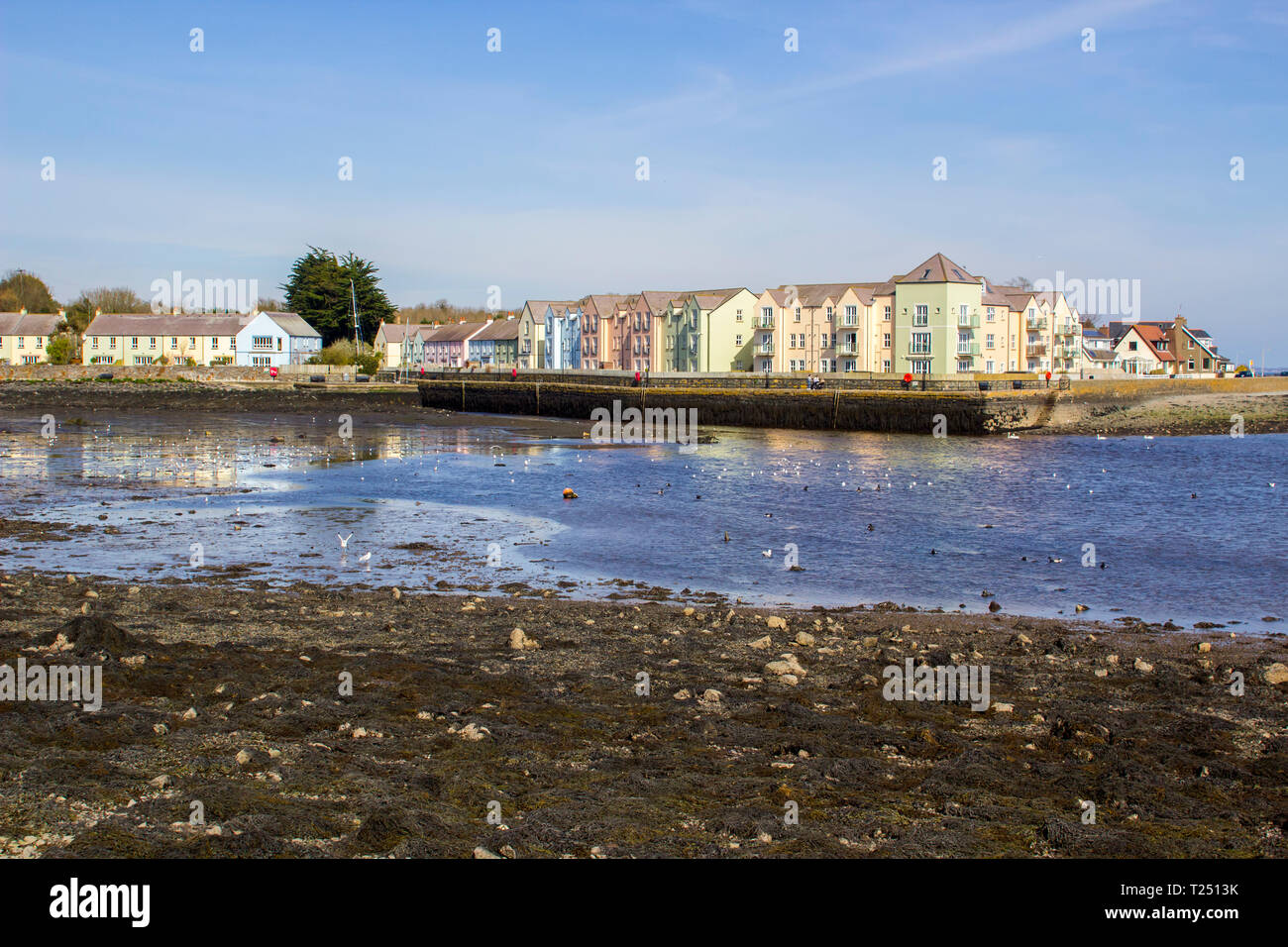 Harbour on strangford lough hi-res stock photography and images - Alamy