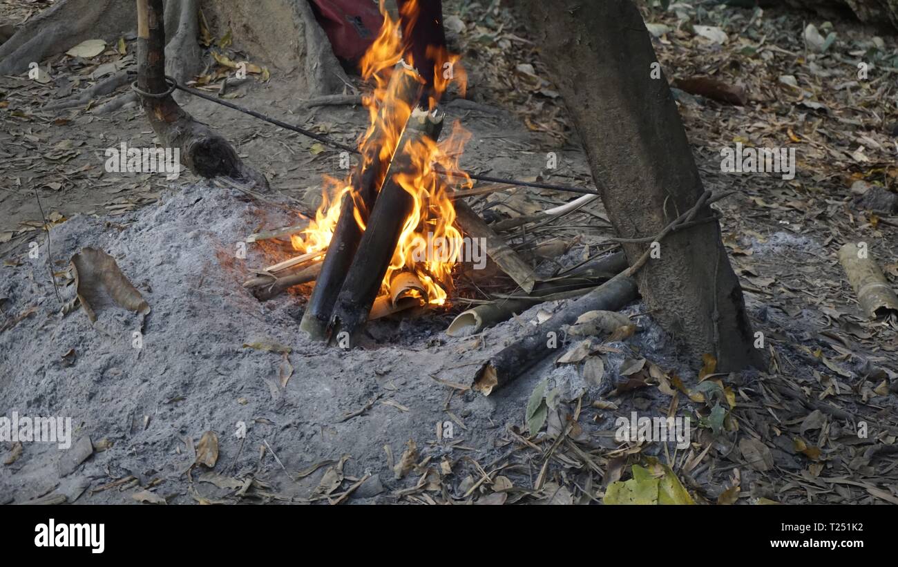 coffee cooking fresh water in bamboo tree on fire Stock Photo - Alamy