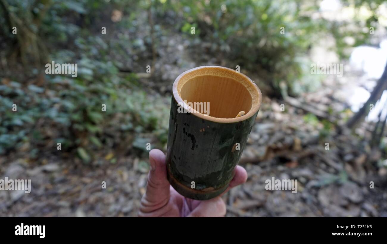 handmade coffee cups carved from bamboo tree Stock Photo - Alamy