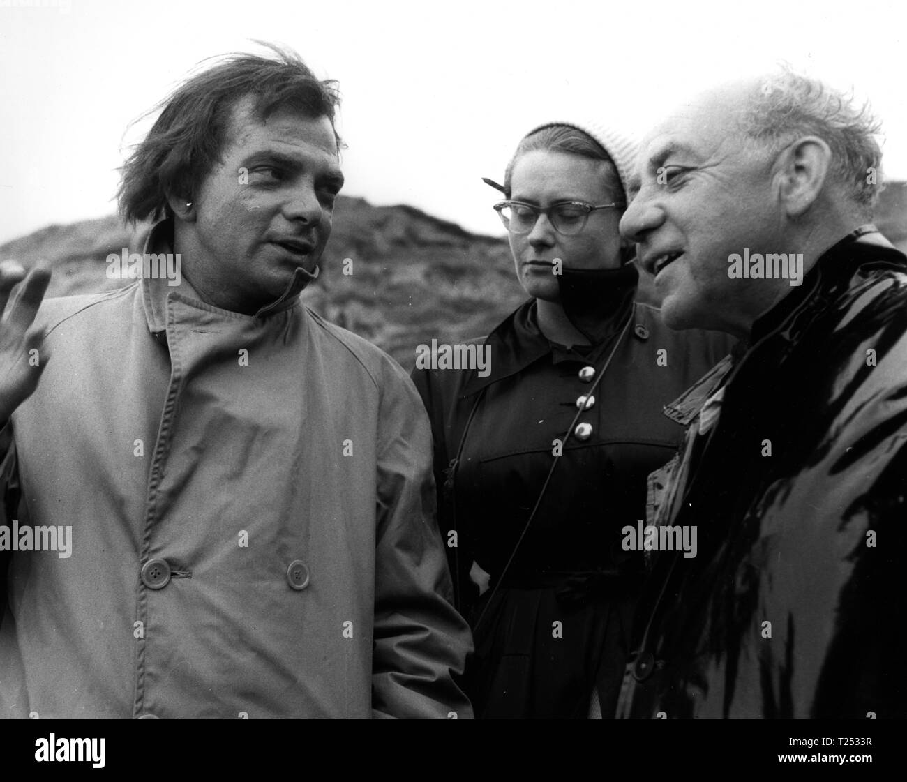 The Moonraker (1958) Peter Arne, Date: 1958 Stock Photo - Alamy