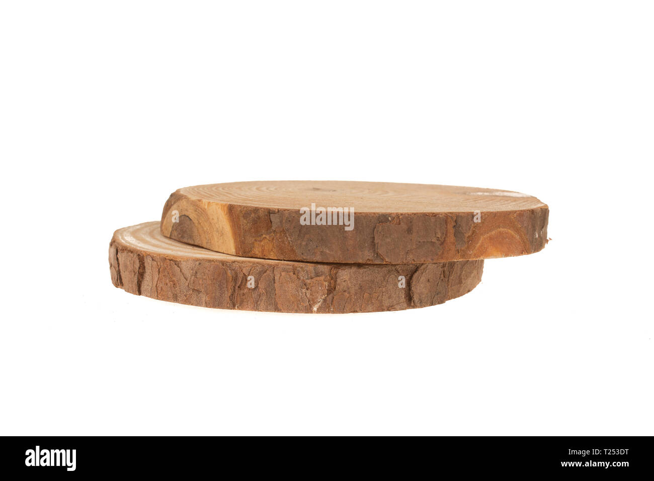 Two wooden stump isolated on white background. Cross section of tree ...