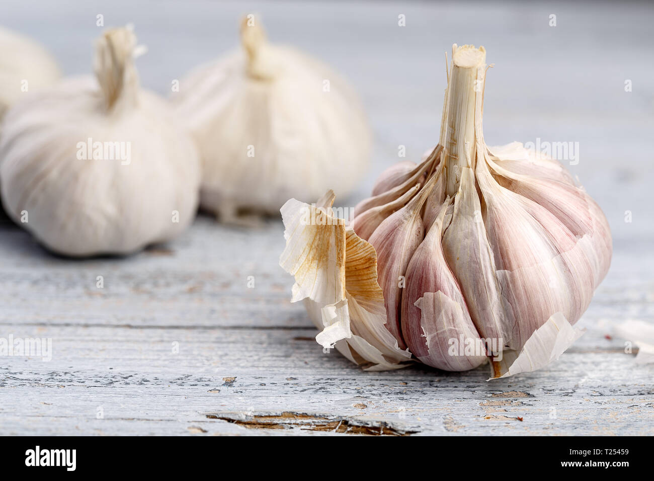 Whole bulb hi-res stock photography and images - Alamy