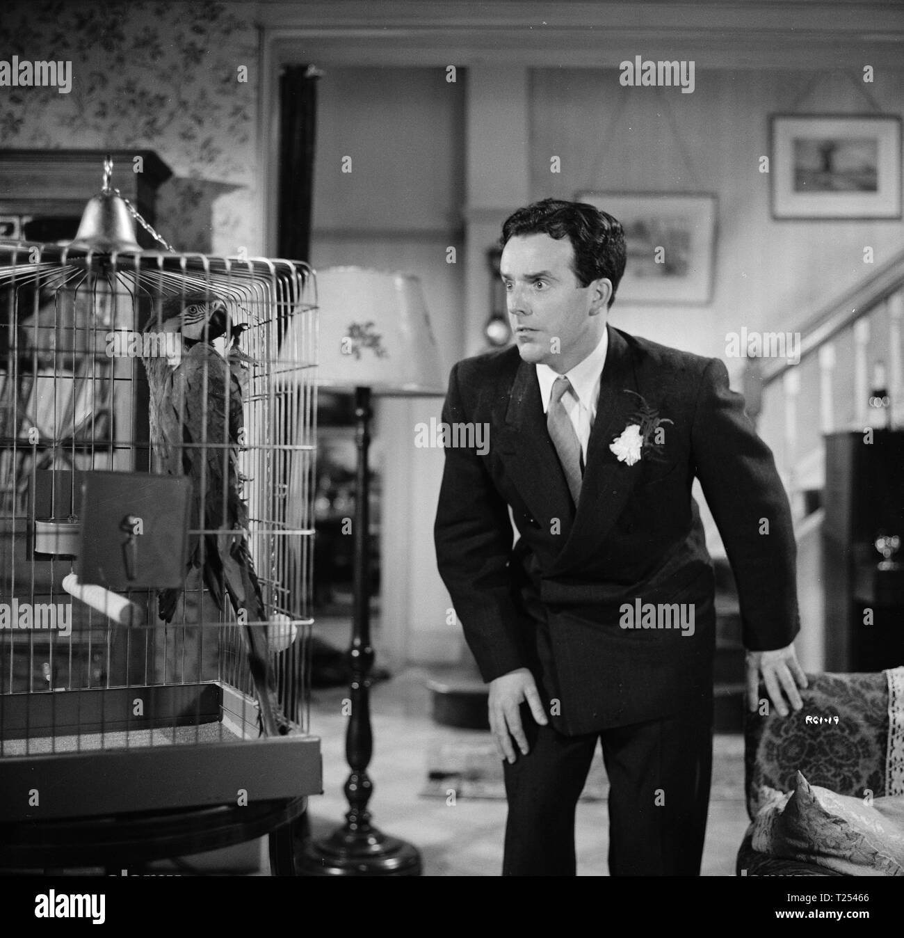 The Night We got the Bird (1961) Brian Rix, Date: 1960 Stock Photo - Alamy