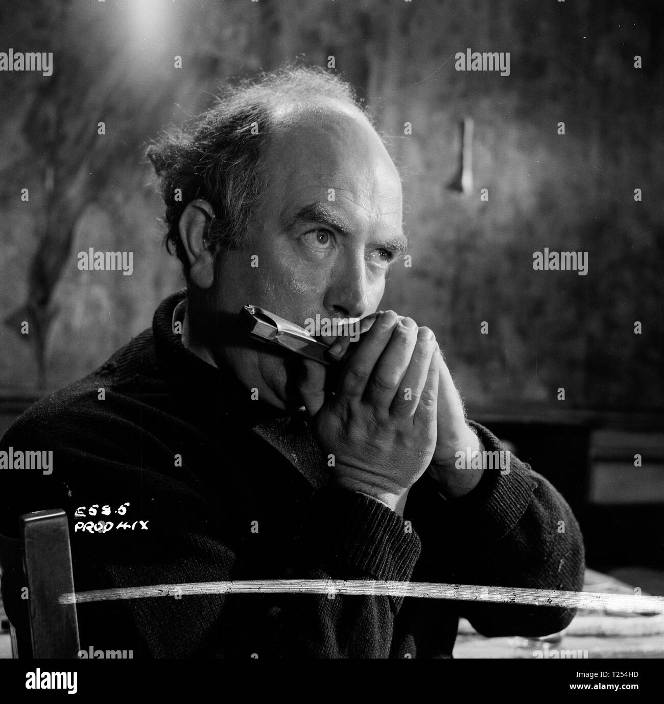 No Trees in the Street (1958) Liam Redmond, Date: 1958 Stock Photo - Alamy