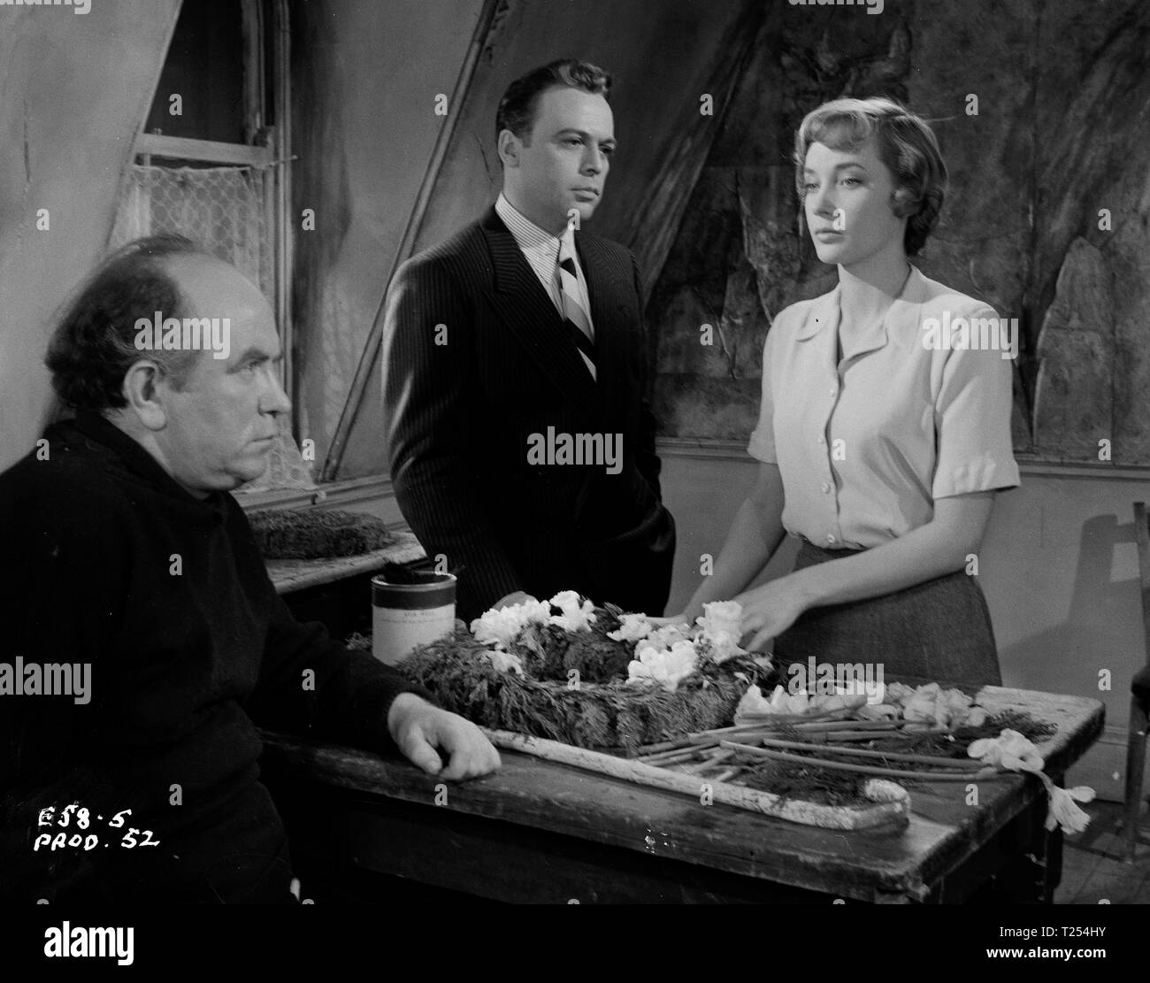 No Trees in the Street (1958) Herbert Lom, Liam Redmond, Sylvia Syms ...