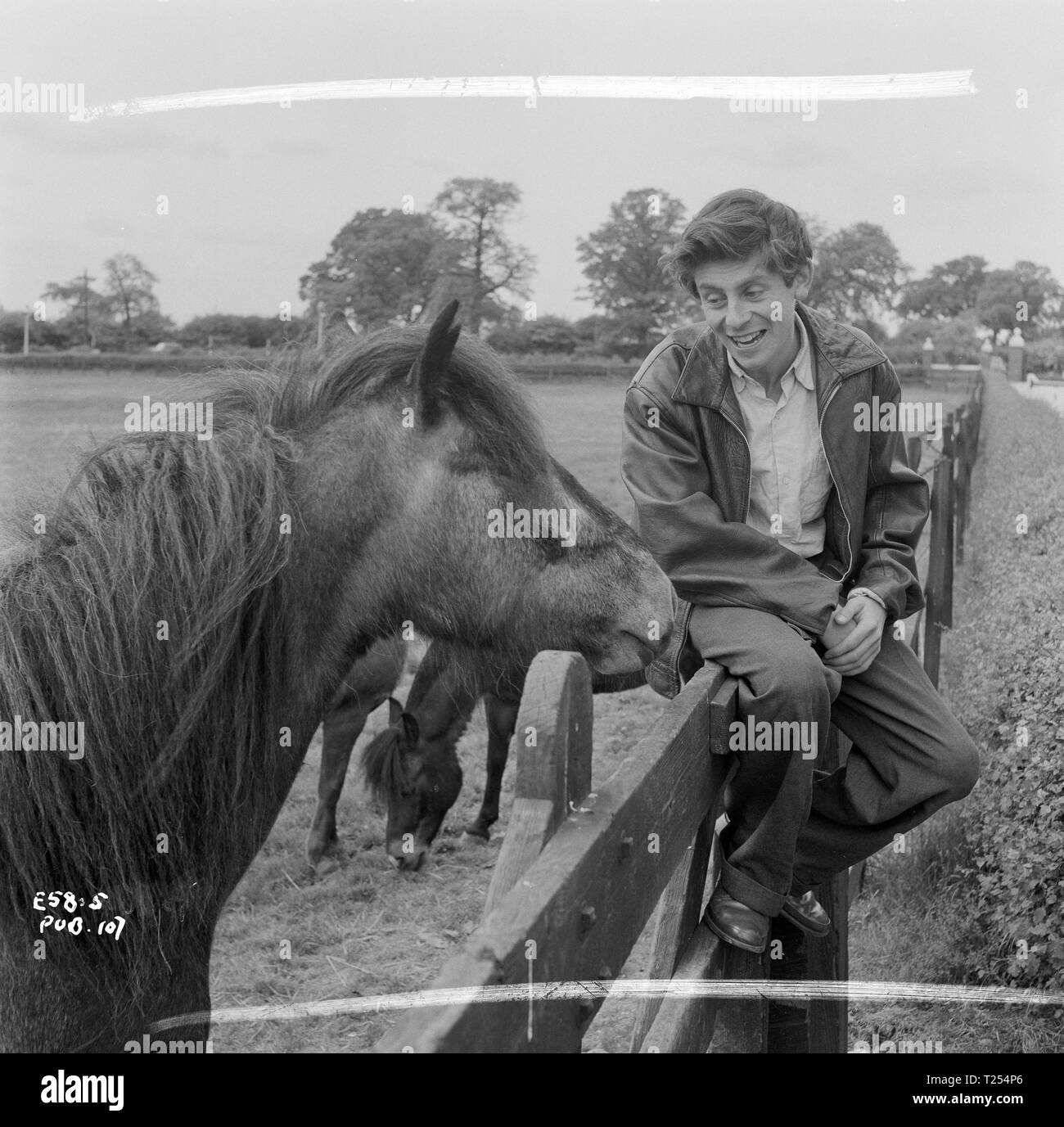 Melvyn hayes trees hi-res stock photography and images - Alamy