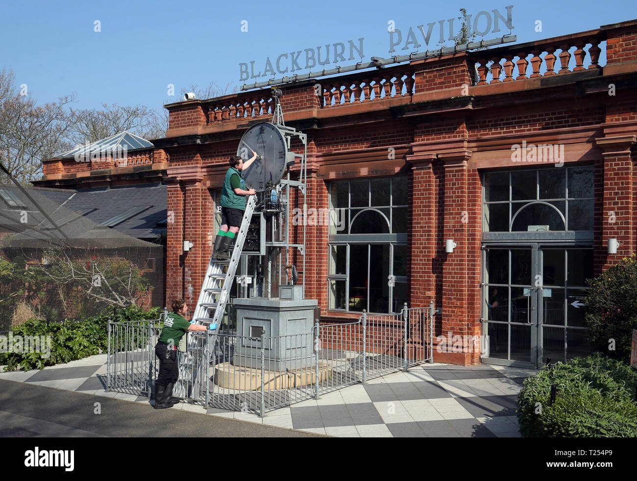 ZSL London Zoo trainee keeper Jasmine Sinclair make adjustments to the ...