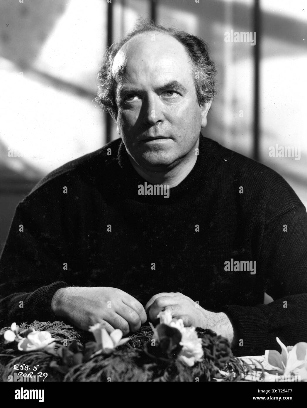 No Trees in the Street (1958) Liam Redmond, Date: 1958 Stock Photo - Alamy