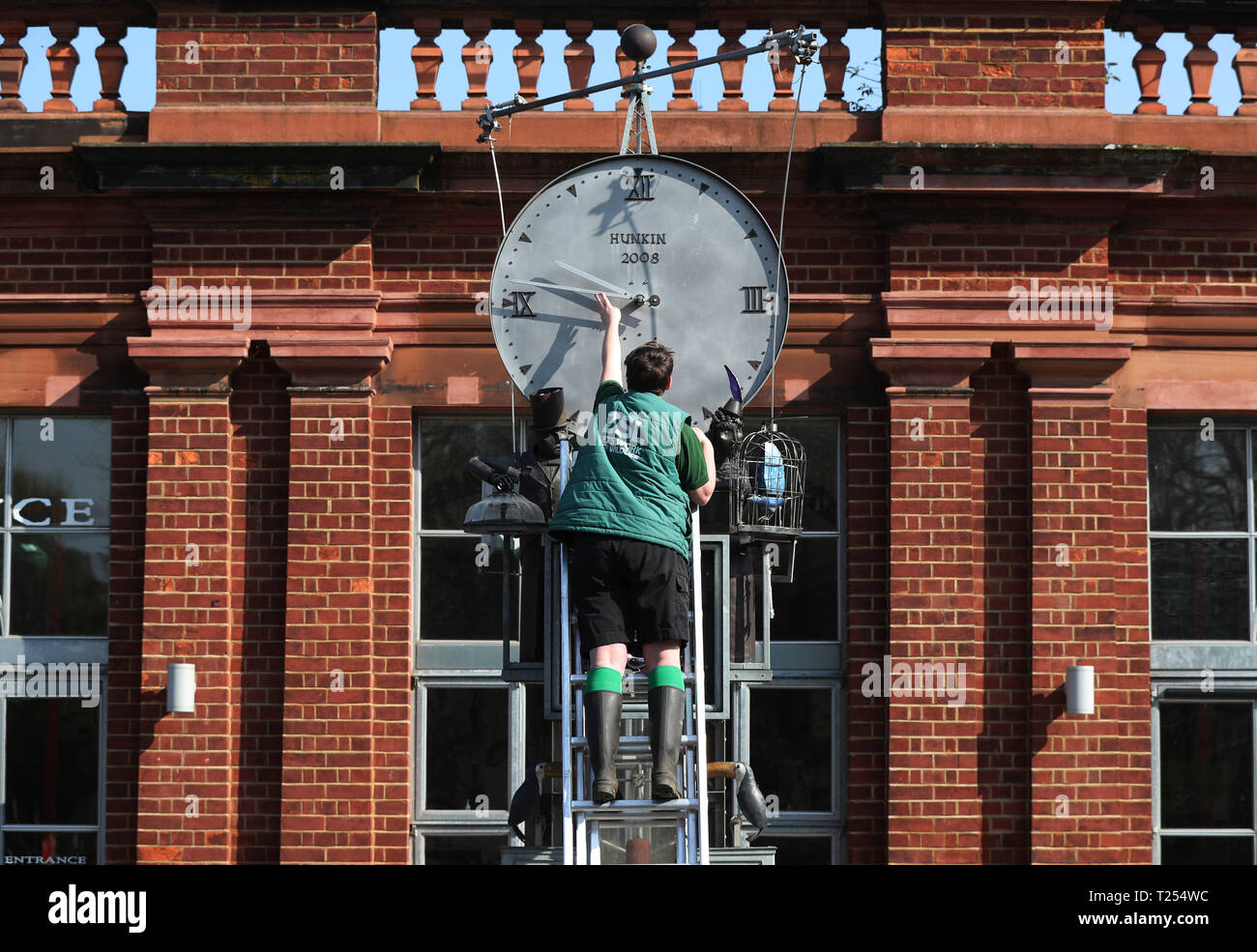 ZSL London Zoo trainee keeper Jasmine Sinclair make adjustments to the ...