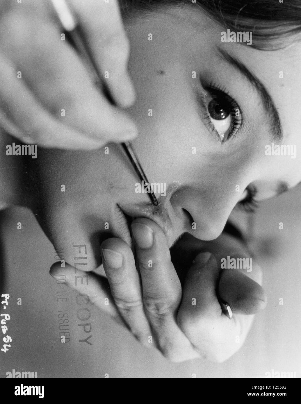 Susan travers hi-res stock photography and images - Alamy