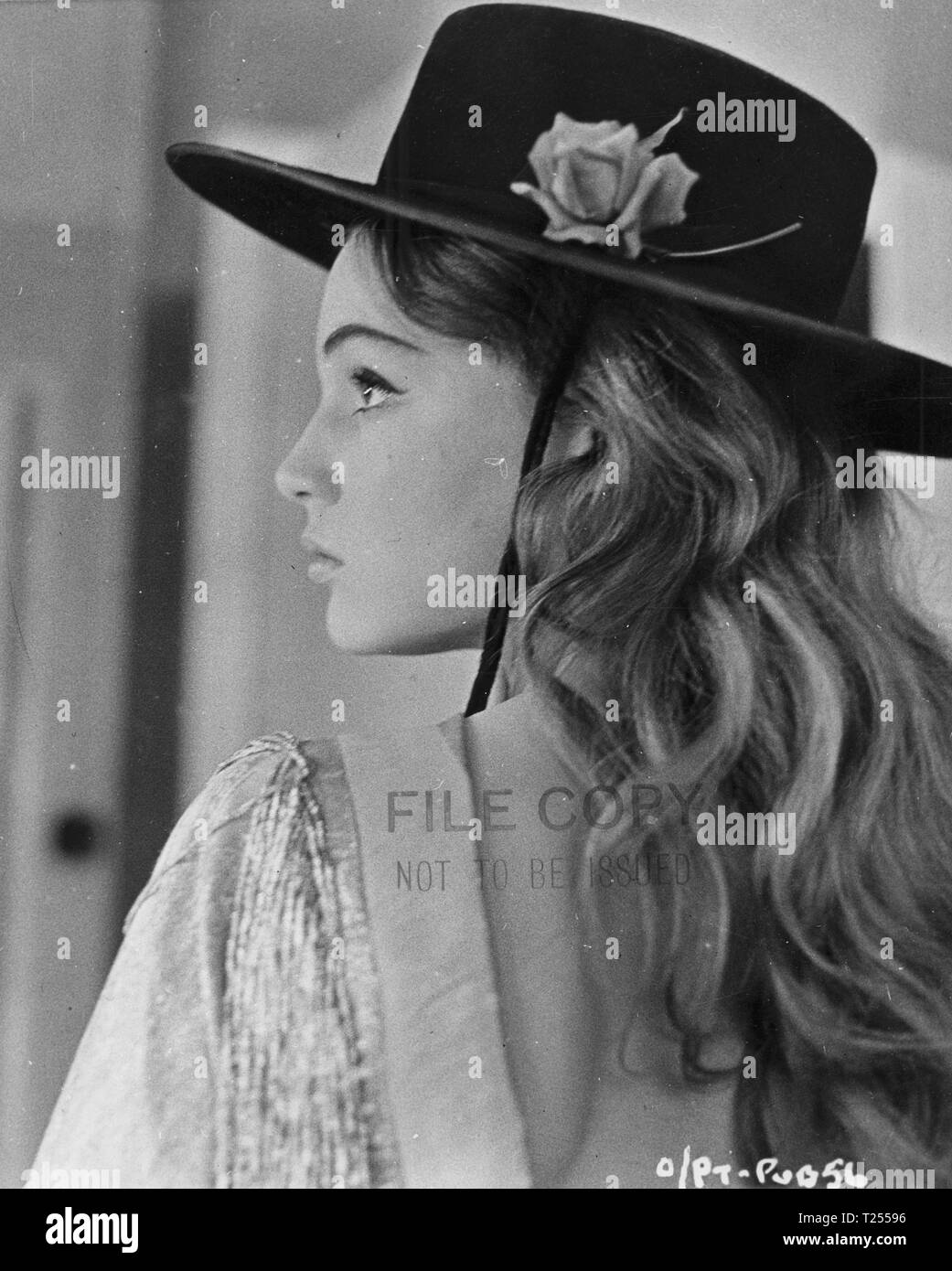 Peeping tom 1960 hi-res stock photography and images - Alamy