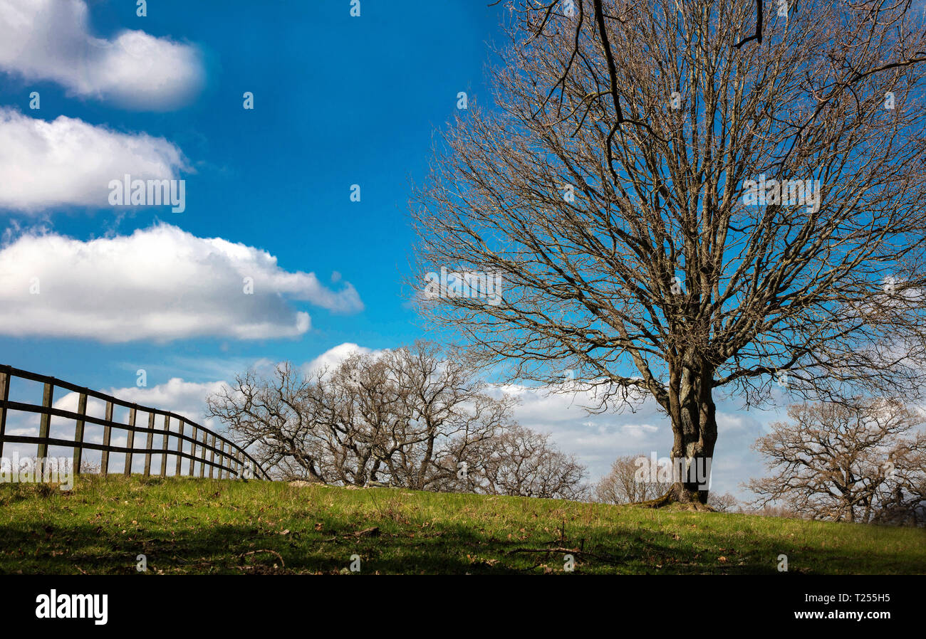 Disappearing view hi-res stock photography and images - Alamy