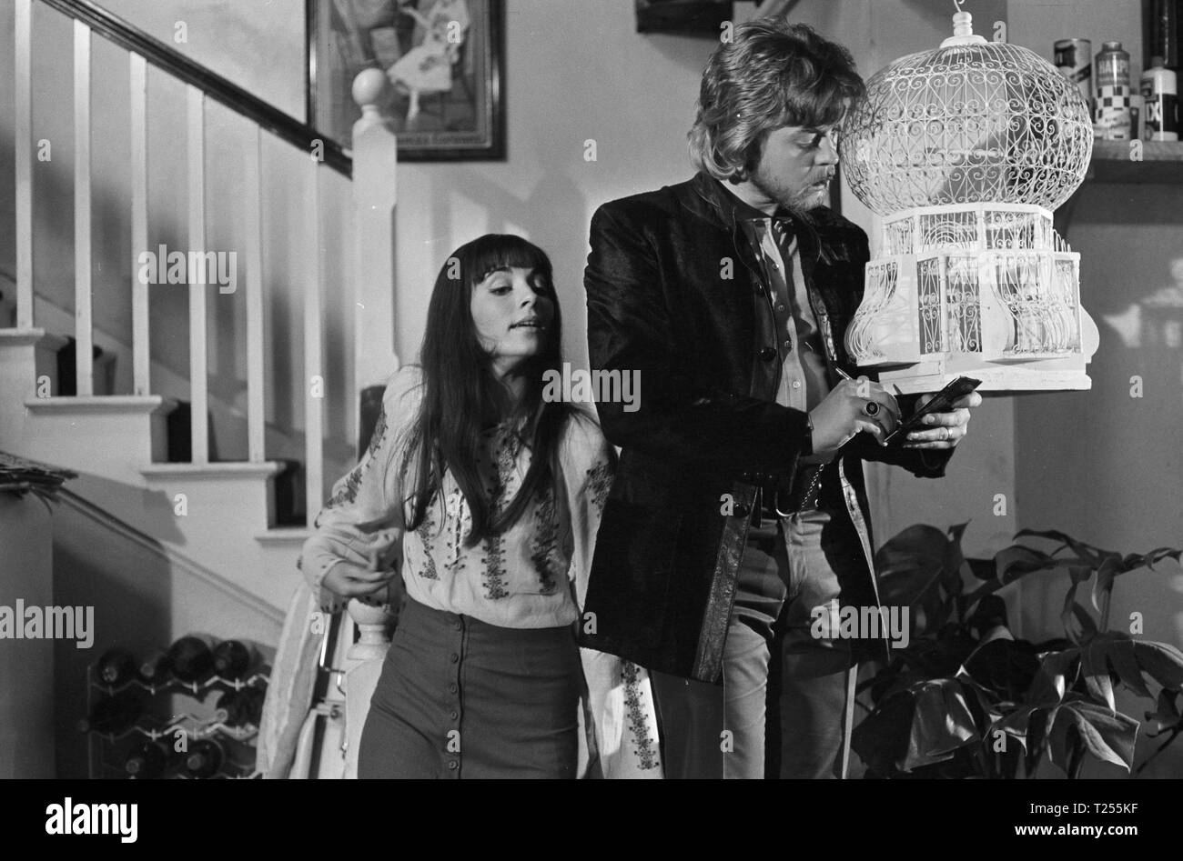 Percy (1970) Hywel Bennett, Date: 1970 Stock Photo - Alamy