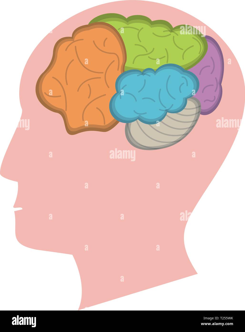 Head with brain symbol isolated Stock Vector Image & Art - Alamy