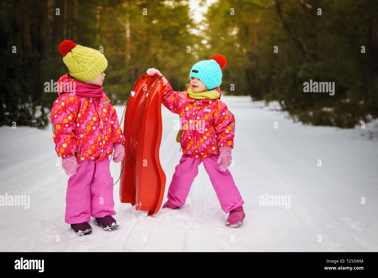 two girls talk about sledding in the forest in winter Stock Photo - Alamy