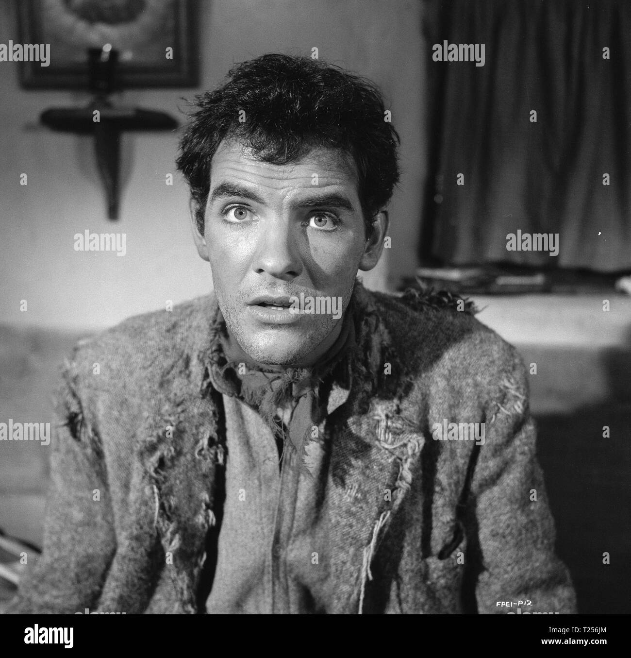 Playboy of the Western World (1962) Gary Raymond, Date: 1961 Stock ...