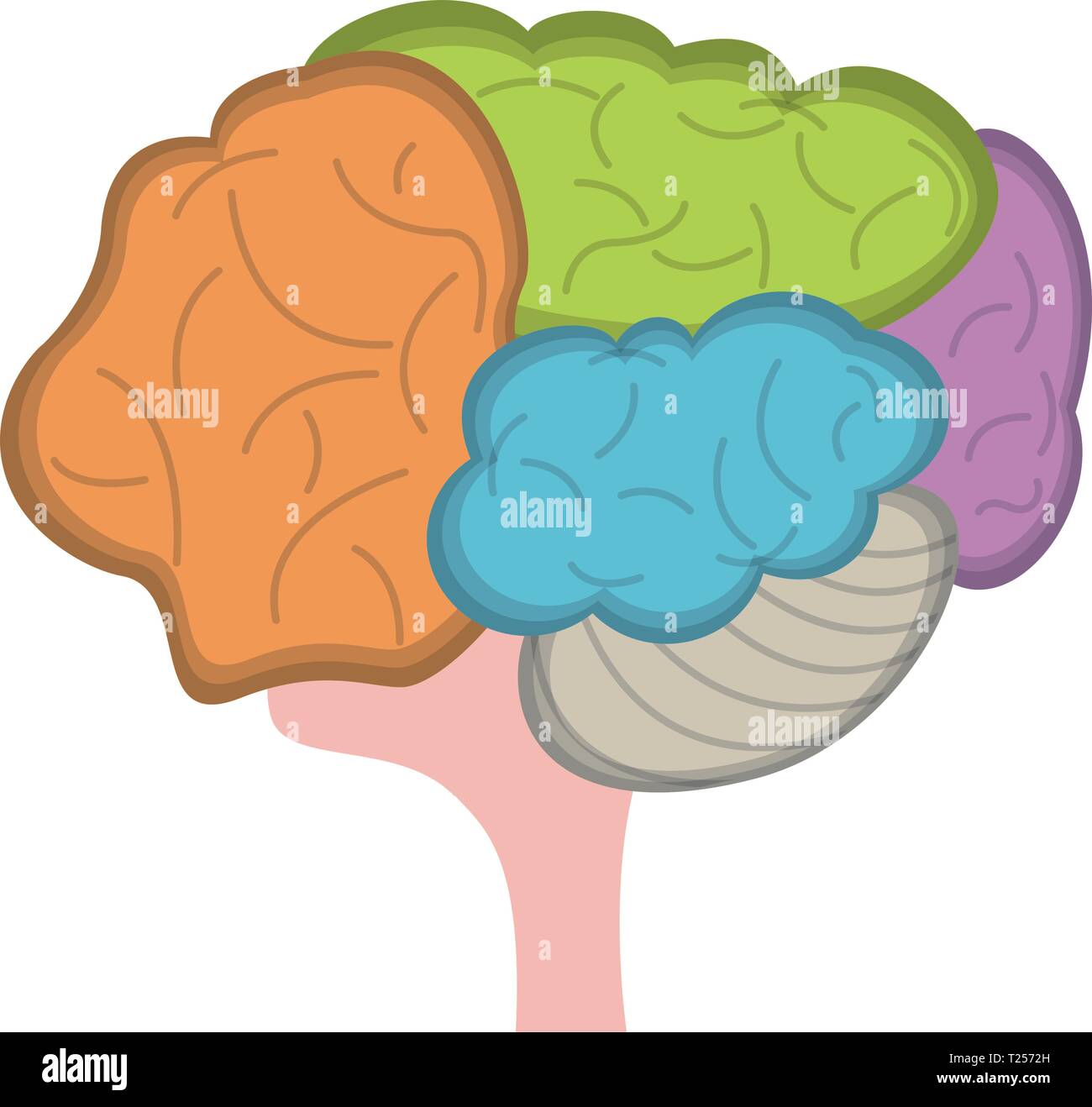 Human brain symbol isolated Stock Vector Image & Art - Alamy