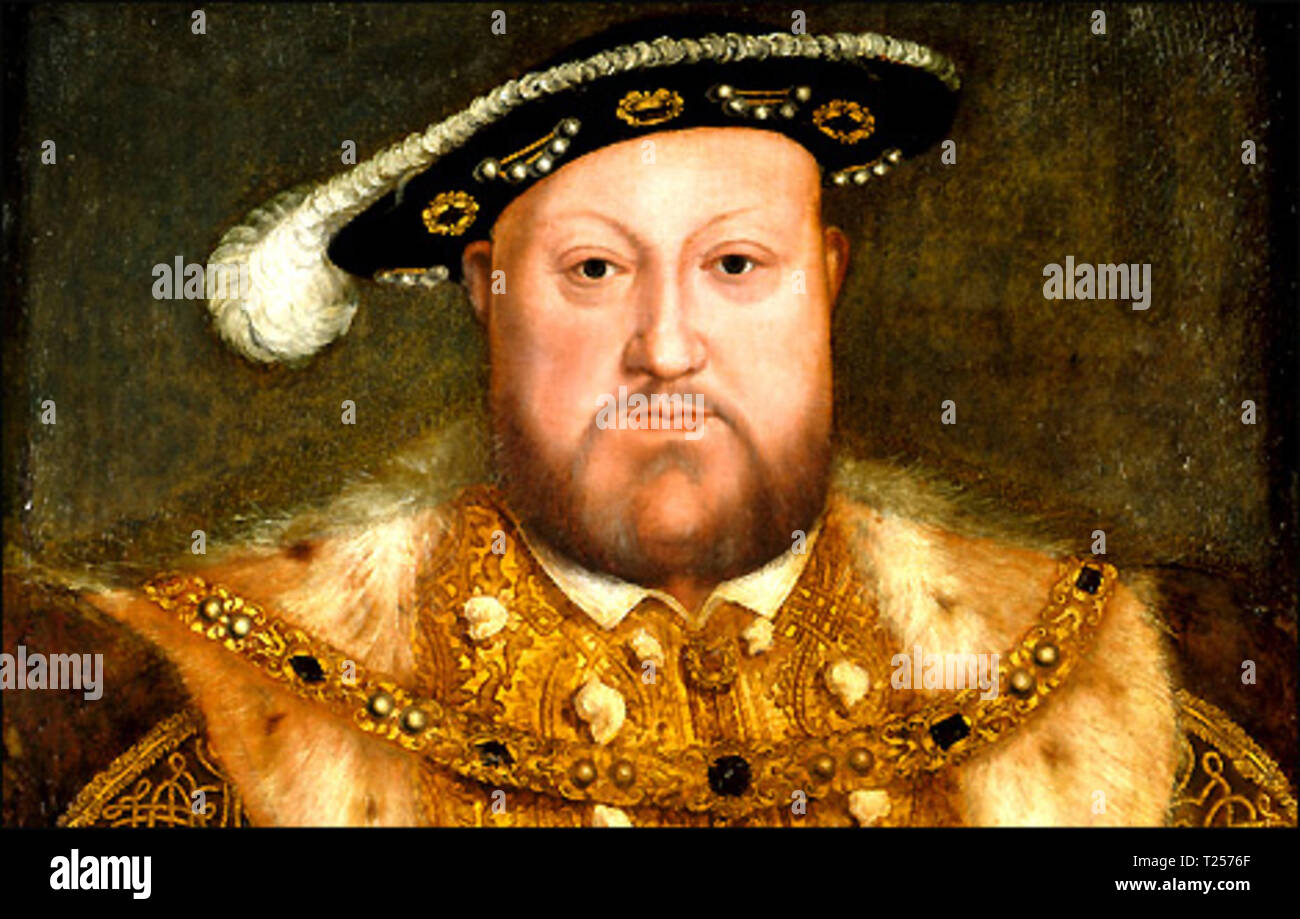 Portrait from Henry VIII's Tudor Court Stock Photo - Alamy
