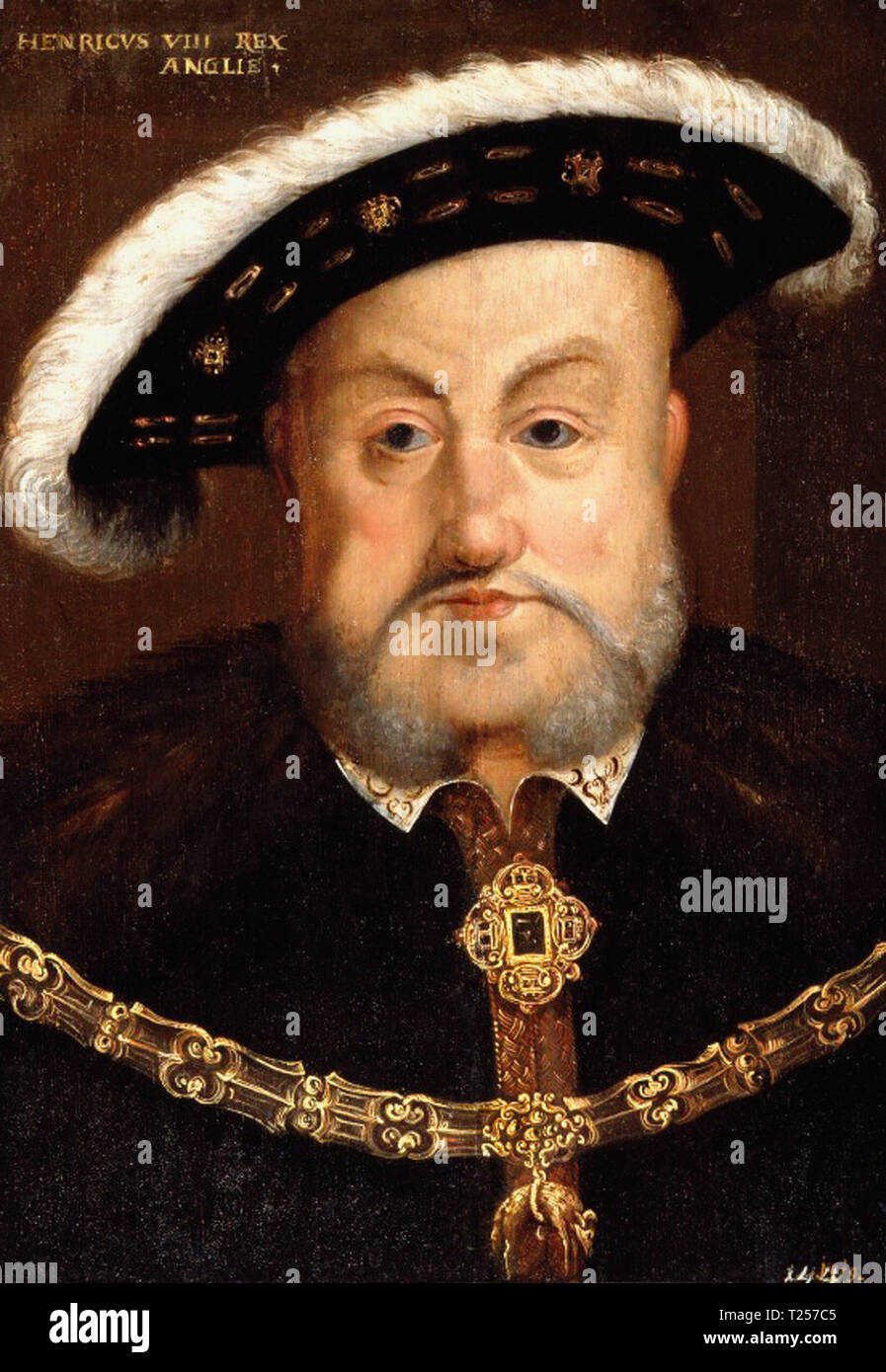 Portrait from Henry VIII's Tudor Court Stock Photo - Alamy