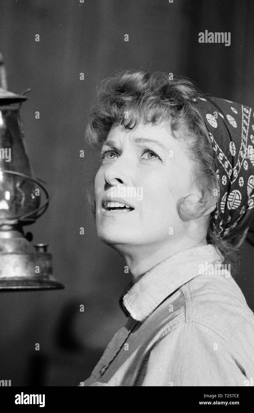 Maureen Rowe's Instagram, Twitter & Facebook on IDCrawl