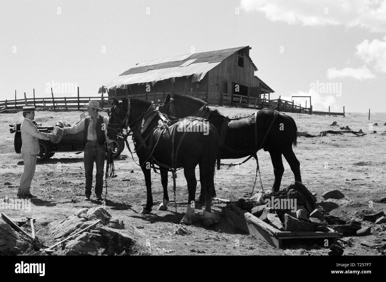 The red pony movie Black and White Stock Photos & Images - Alamy
