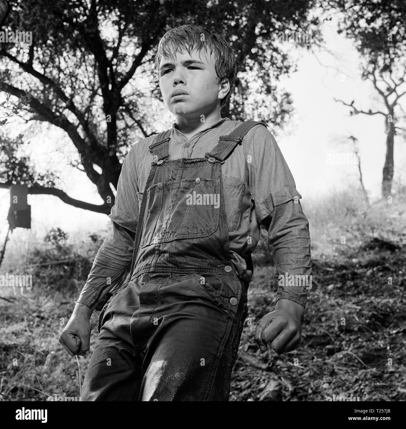 Clint howard hi-res stock photography and images - Alamy