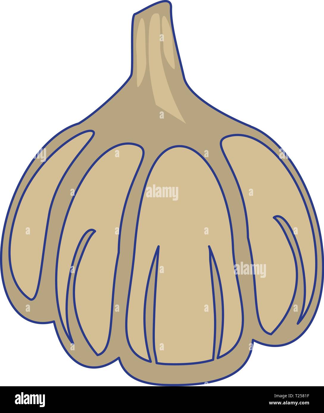 Garlic fresh vegetable isolated blue lines Stock Vector Image & Art - Alamy