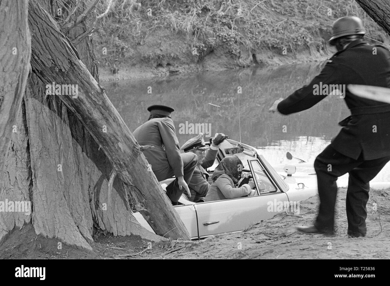 Rotten to the Core (1965) Anton Rodgers, Date: 1965 Stock Photo - Alamy