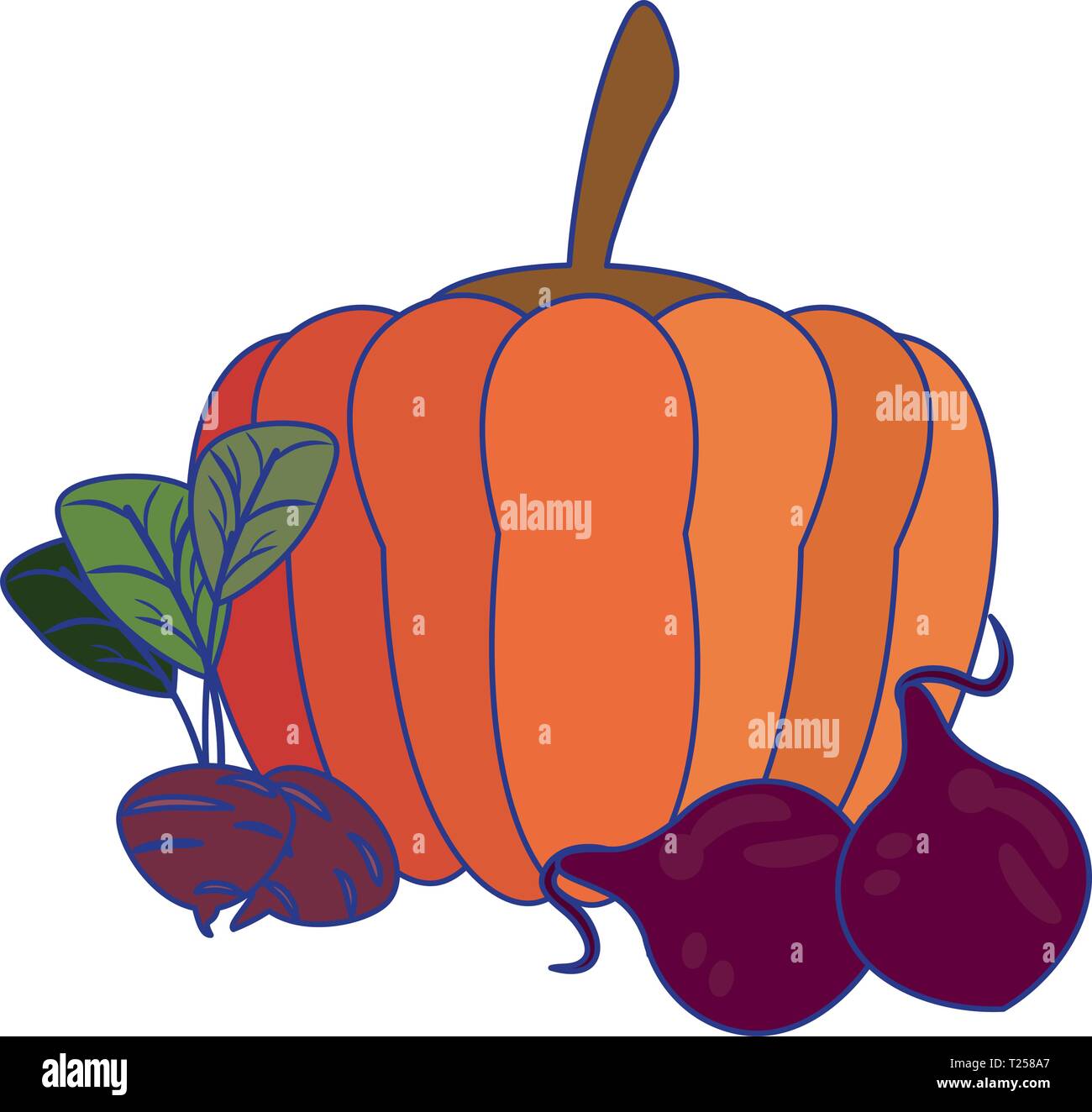 Pumpkin and radish with onions blue lines Stock Vector Image & Art - Alamy