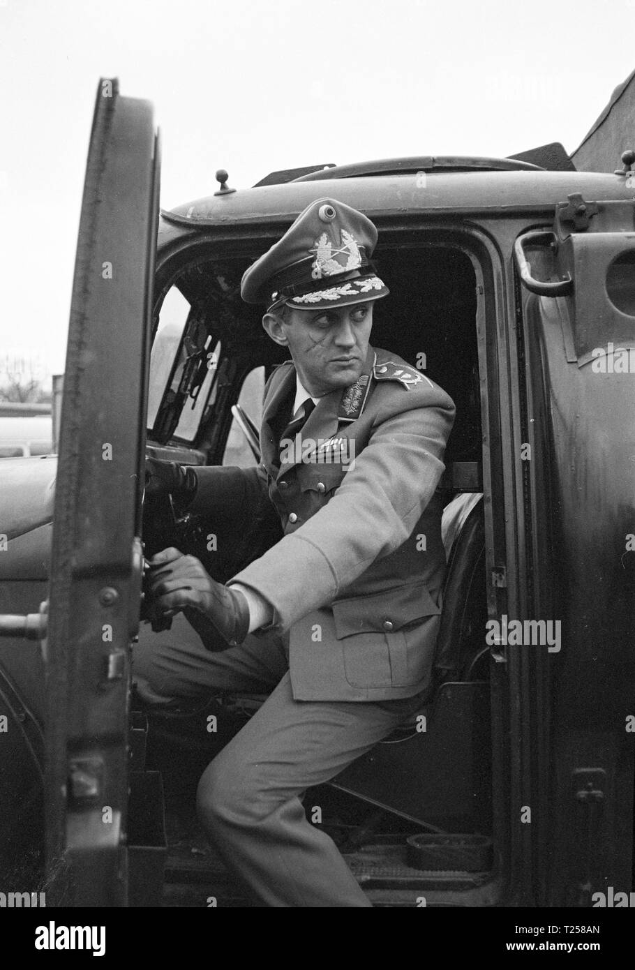 Rotten to the Core (1965) Anton Rodgers, Date: 1965 Stock Photo - Alamy