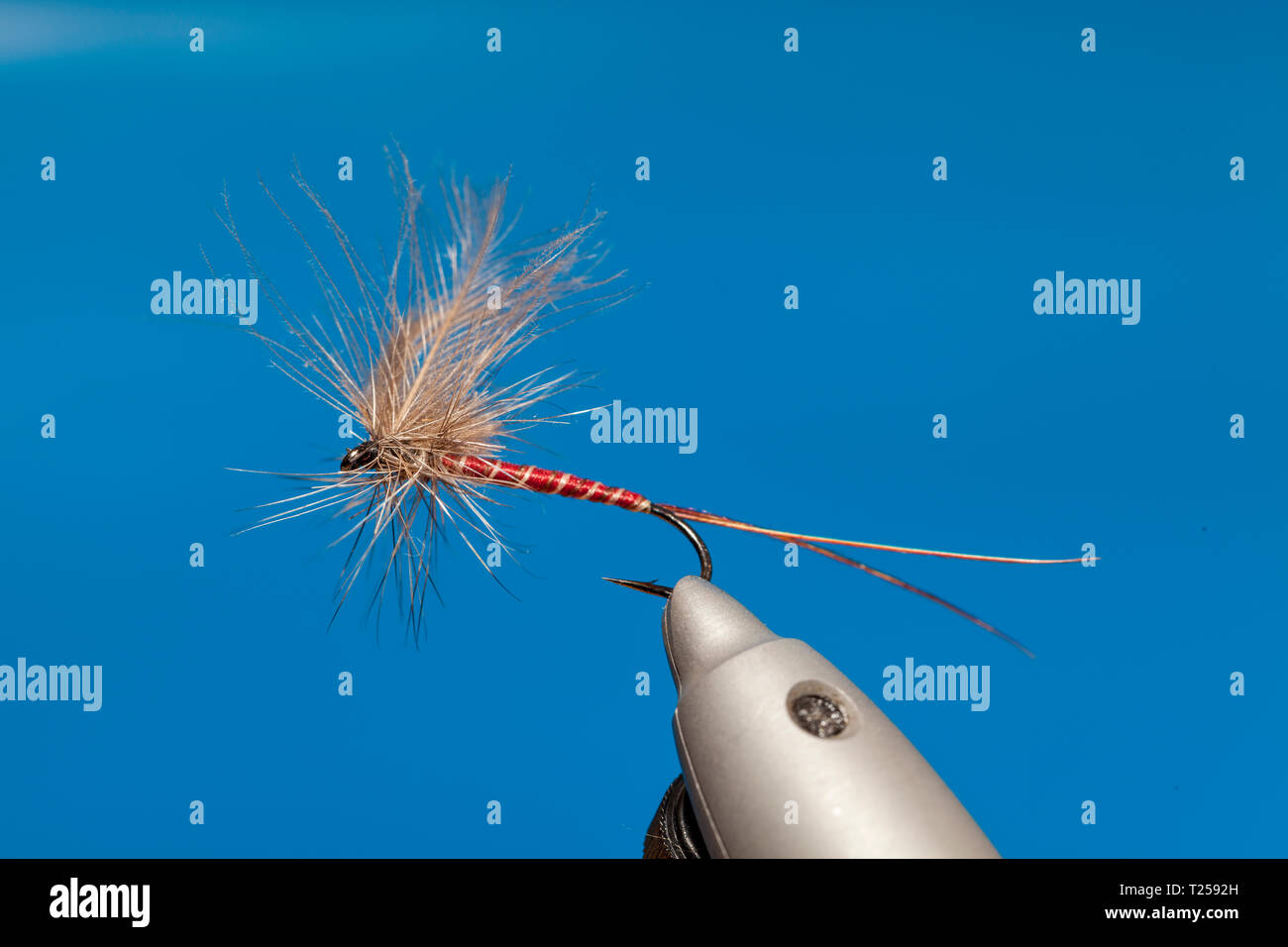 fly fishinig, fly tying hooks close up Stock Photo - Alamy