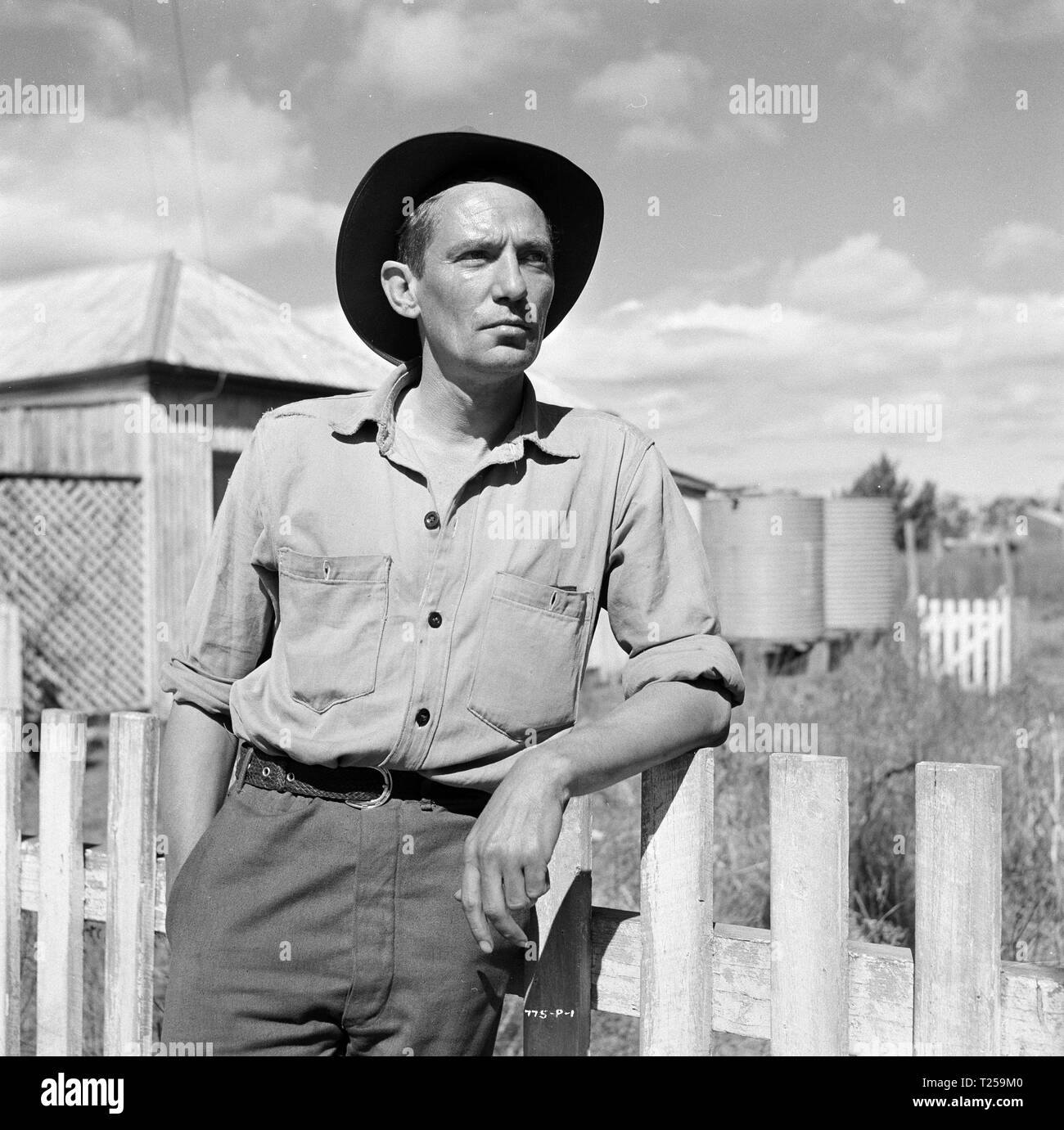 Peter finch hi-res stock photography and images - Alamy